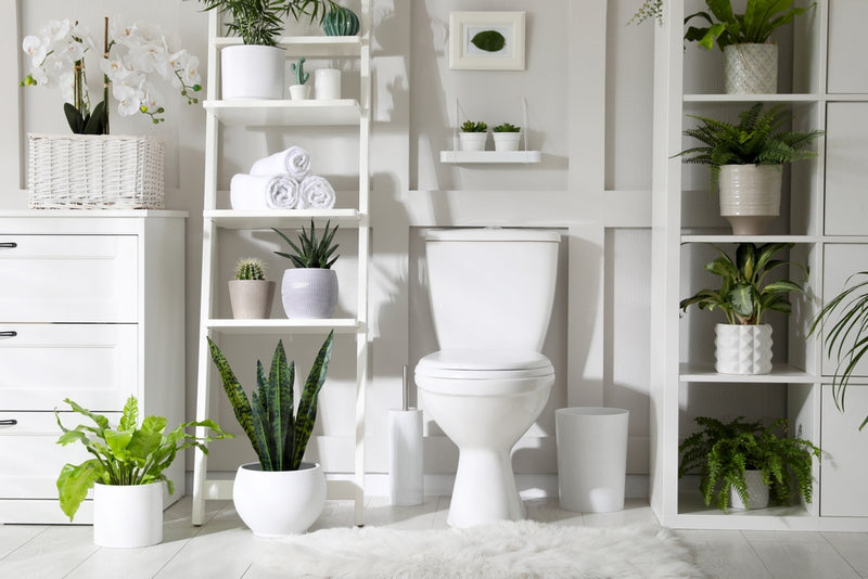 Boring Bathroom? 15 Ideas To Bling Up The Space Behind The Toilet Bowl